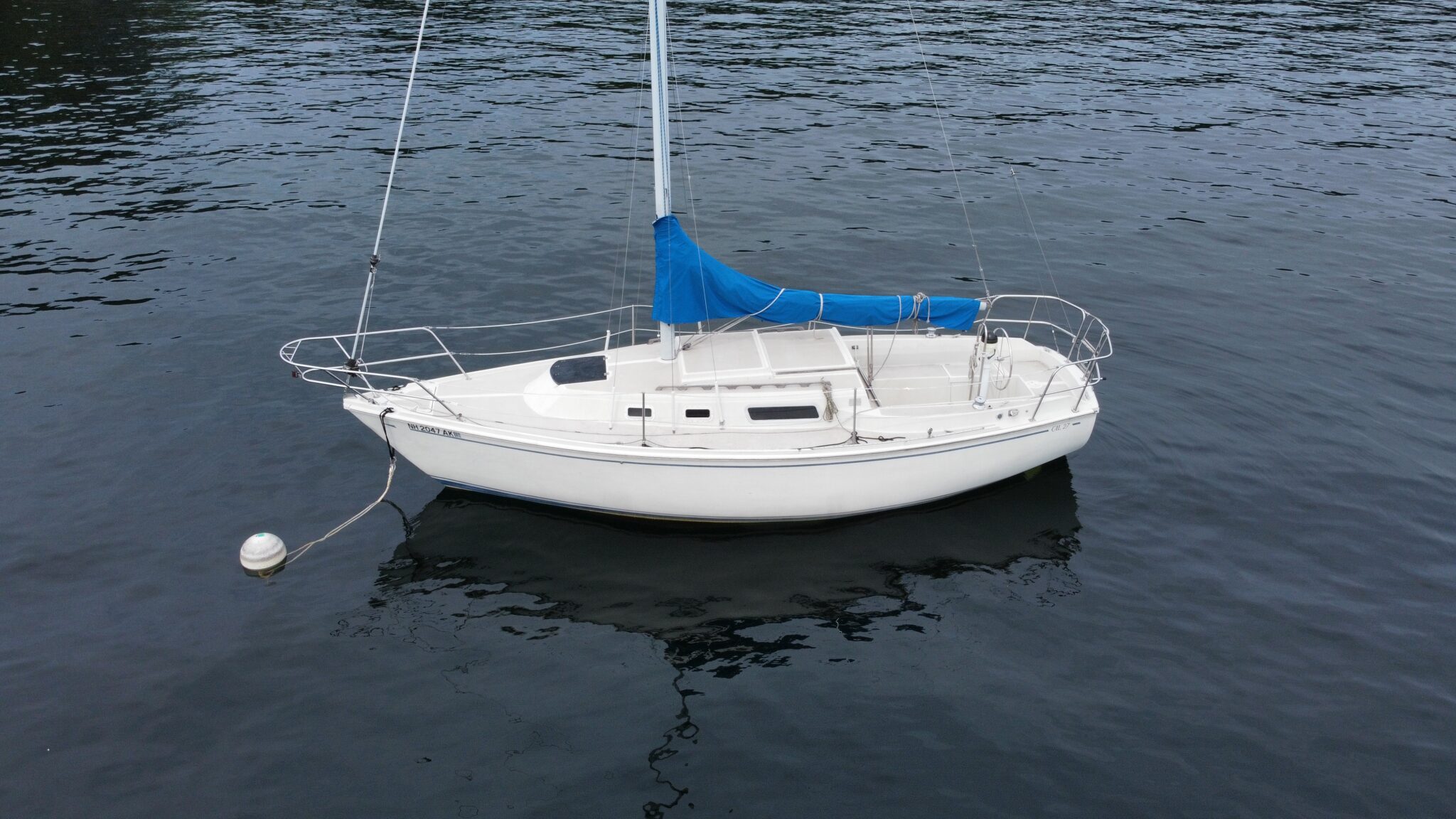 What if a New Boat Owner Doesn't Change the Title